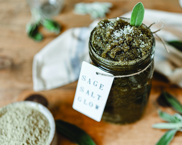 Sage Herb Benefits - Grit